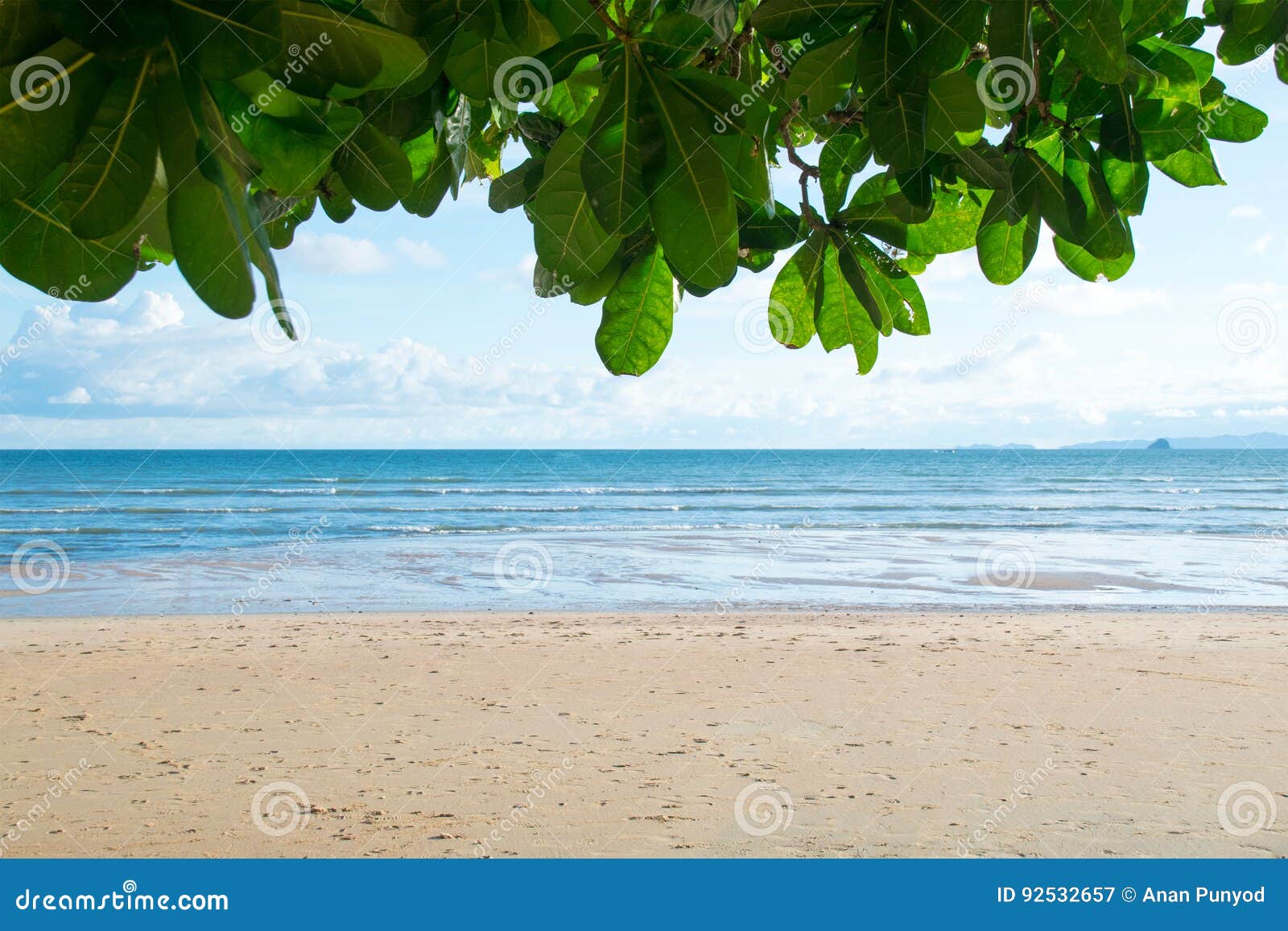 Front View Sea Waves , Sand Beach and Fish Poison Tree Stock Image ...