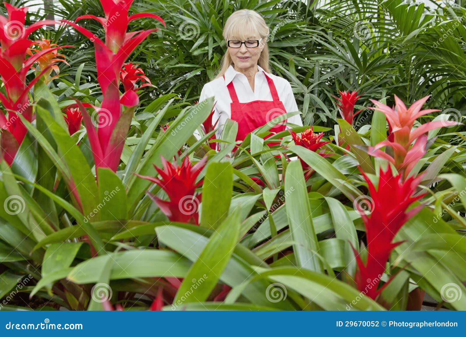 Front View of a Senior Woman Working in Botanical Garden Stock Photo ...