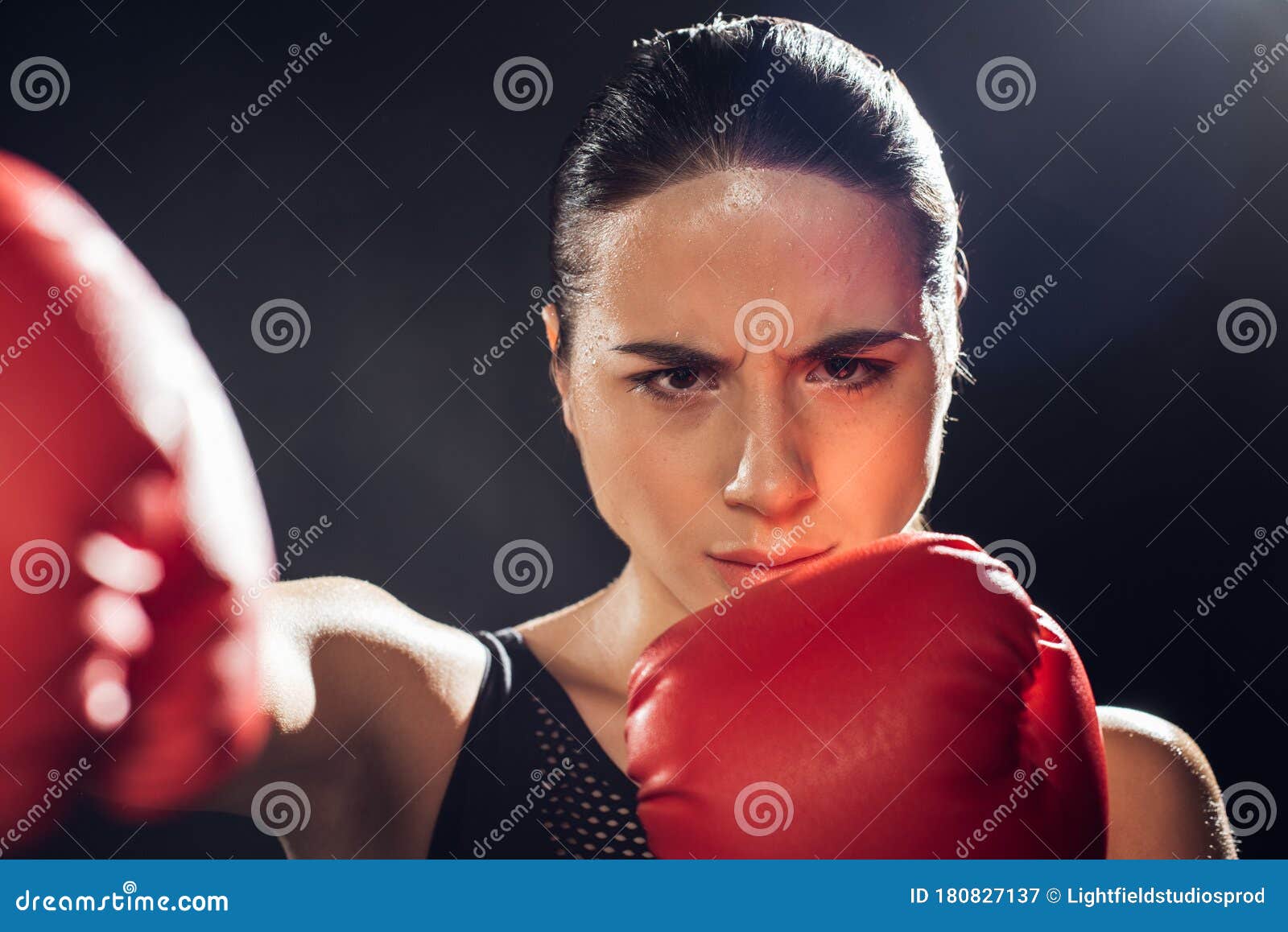 Front View of Serious Boxer in Red Boxing Gloves Looking at Camera on ...