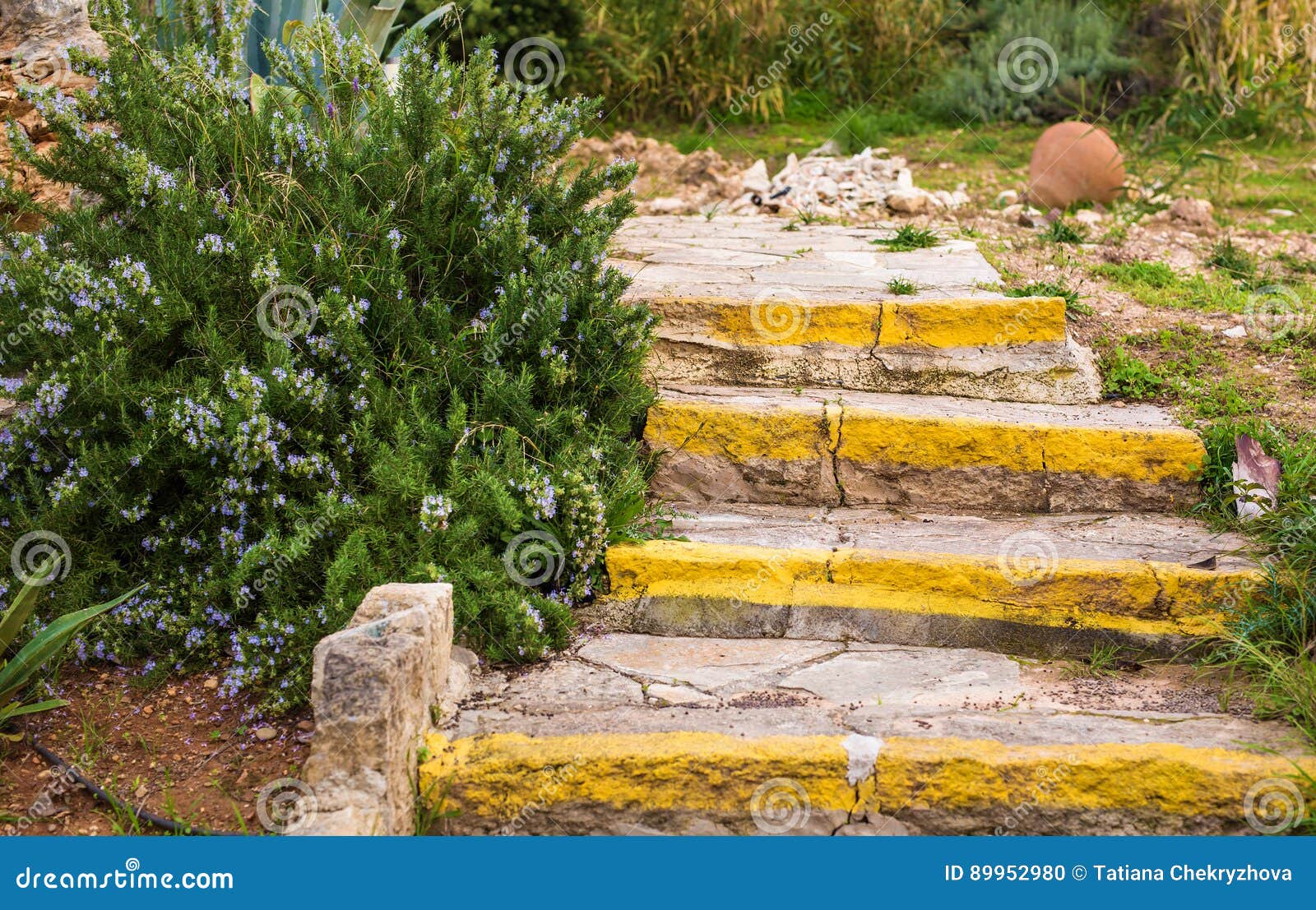 Front View of Short Stairs Going Up Stock Photo - Image of scale ...