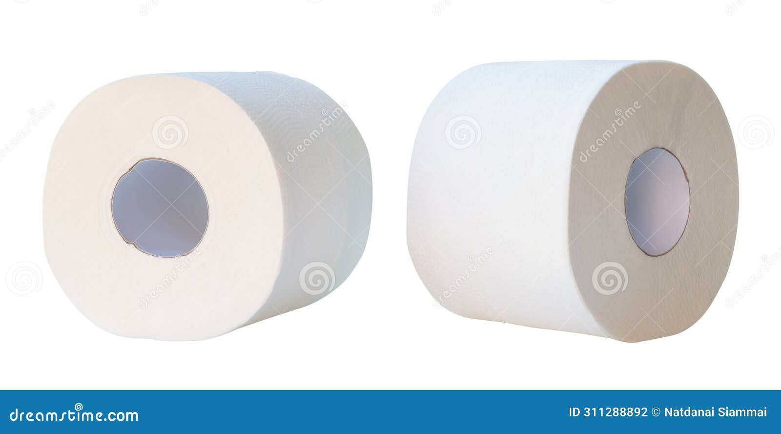Front View or Side View Set of Tissue Paper or Toilet Paper Rolls ...
