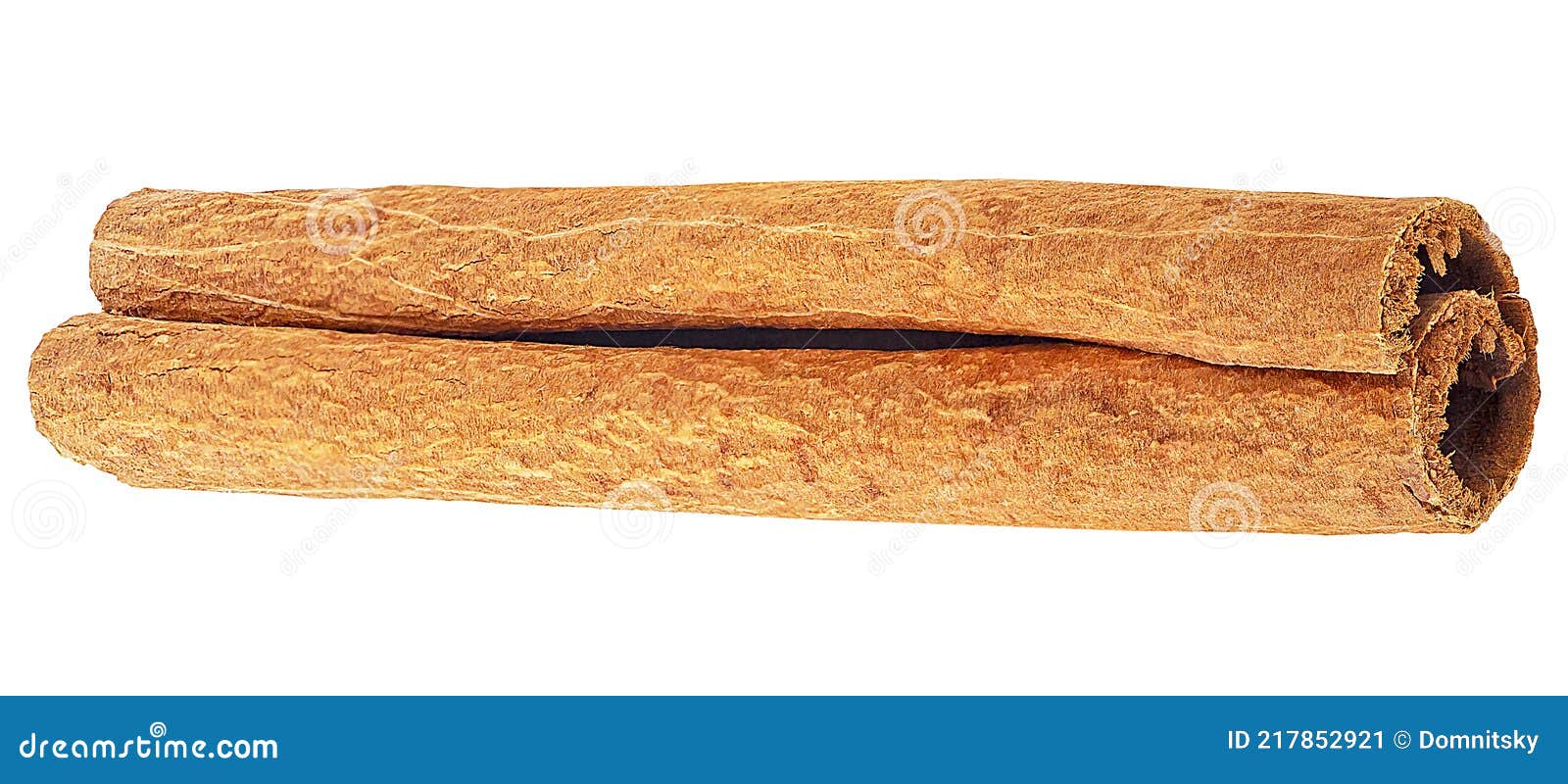 Front View of Single Cinnamon Stick Isolated on White Background Stock ...