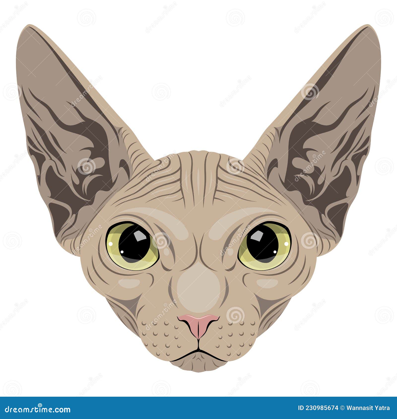 Front View of Sphynx Cat Head in Flat Color Style Stock Vector ...