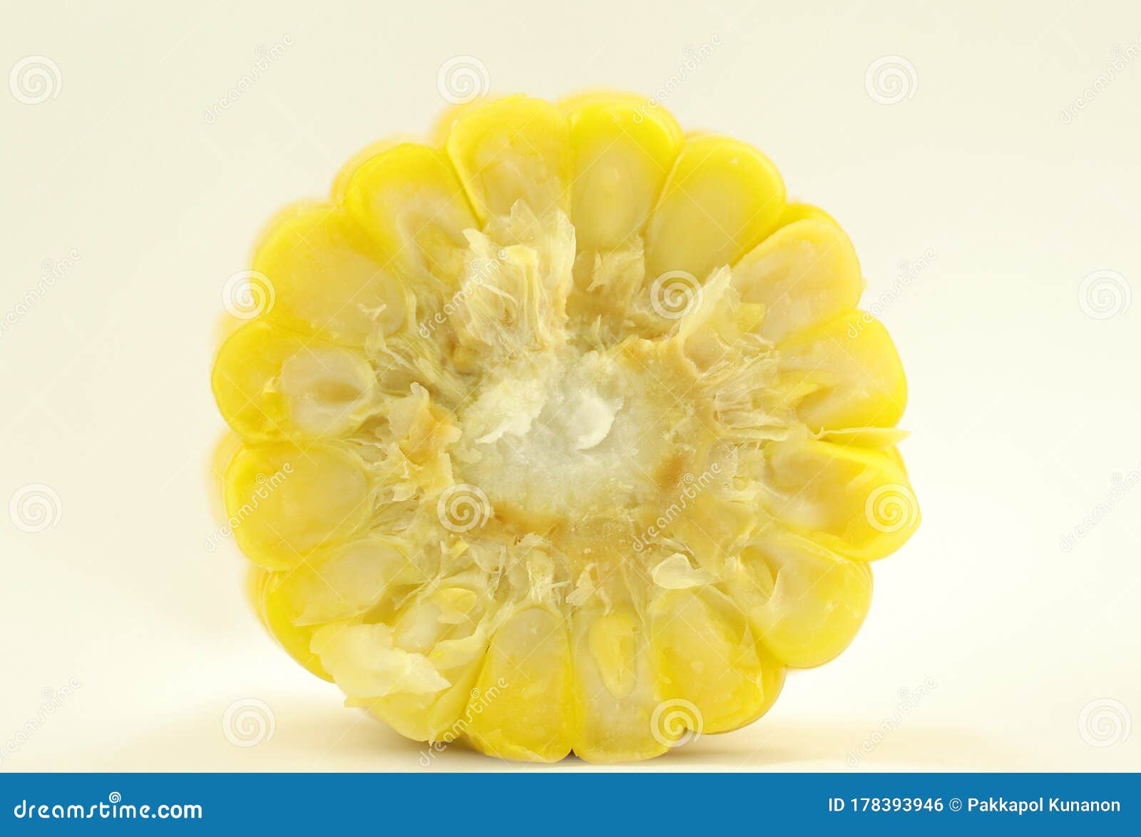 Front View of Sweet Corn Cut Isolated with Clipping Part Stock Photo ...