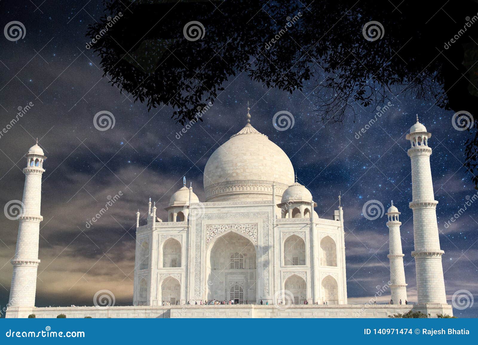 Taj Mahal in Night Sky with Tree Stock Photo - Image of agra, asia ...
