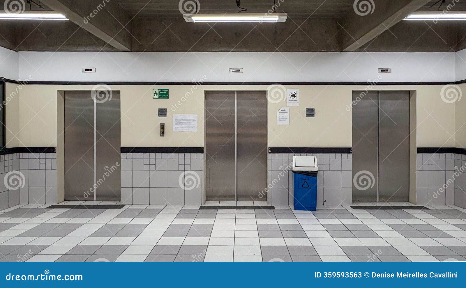 Front View of Three Elevators in Concrete Building with Blue Trash Bin ...