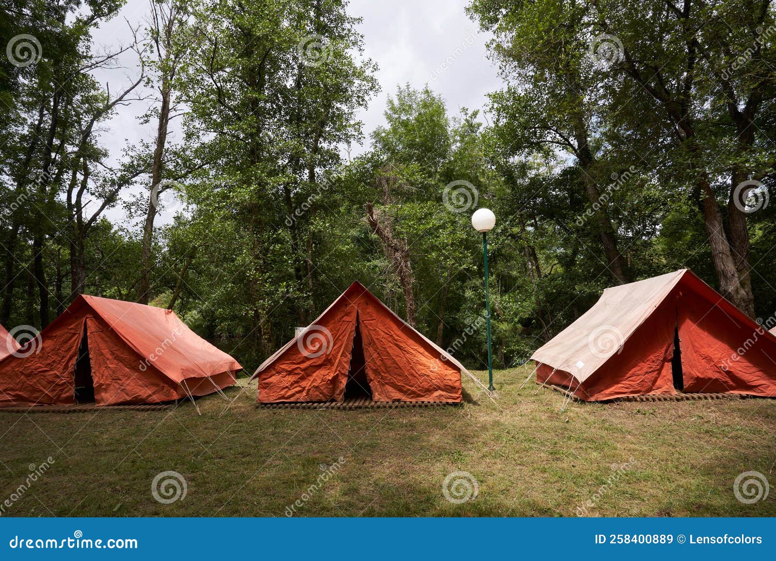 Front View of Three Orange Camping Tents Standing in Front of the ...