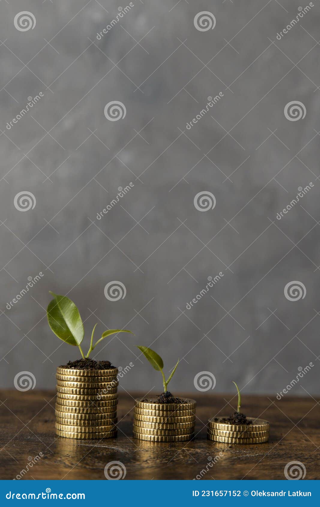 Front View Three Stacks Coins with Plants Copy Space Stock Photo ...