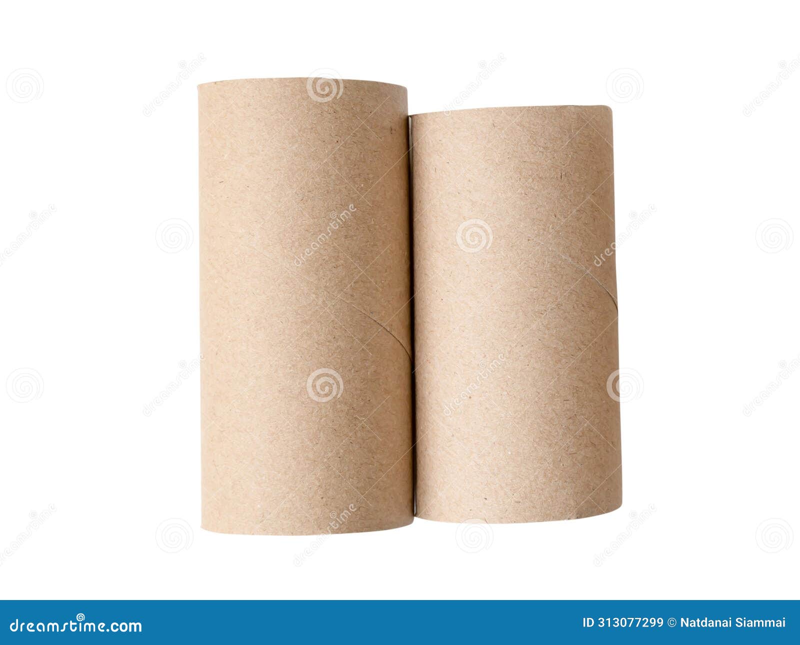Front View of Tissue Paper Core Isolated on White Background with ...