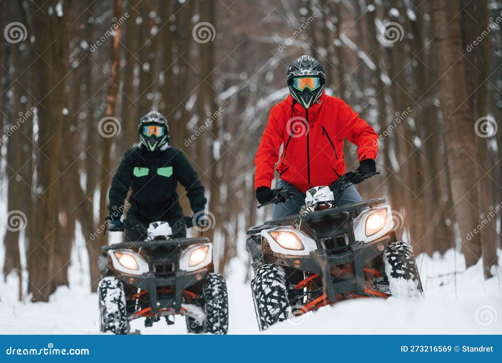 Front View. Two People are Riding ATV in the Winter Forest Stock Image ...