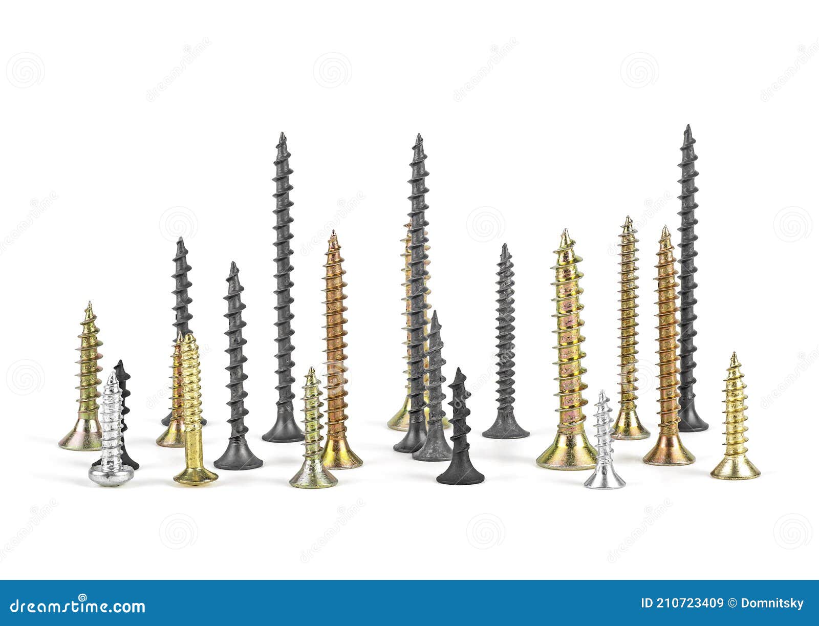 Front View of Various Screws Isolated on White Background Stock Image ...