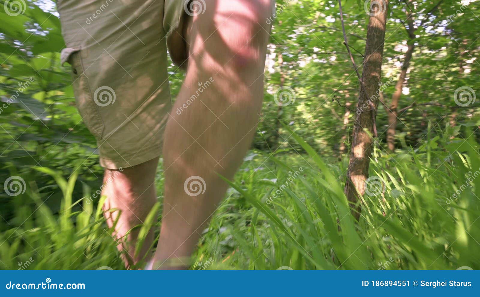 Front View of Walking Man`s Legs in Shorts, Rush in Jungle Forest Stock ...