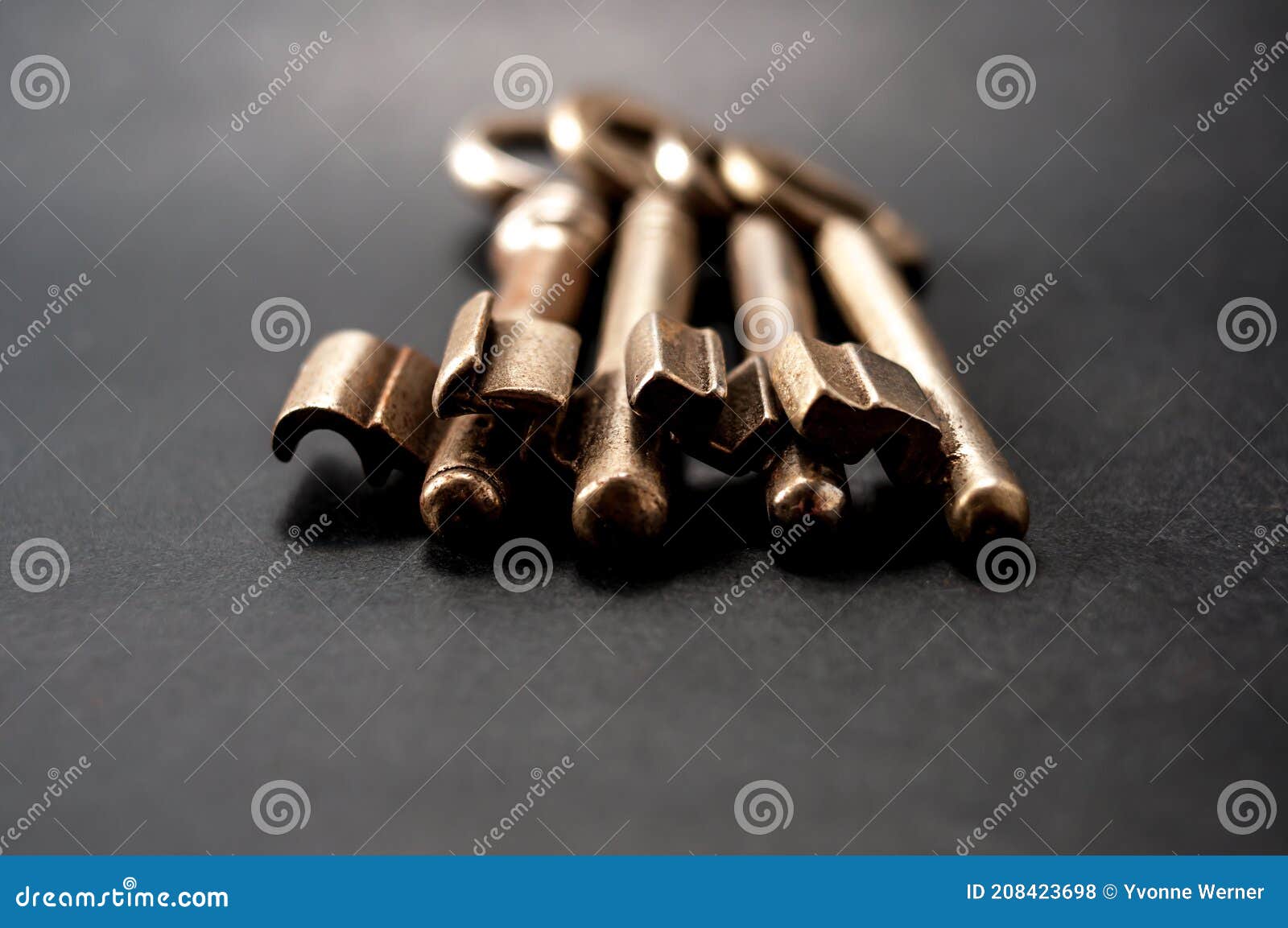 Front View of 4 Ward Keys with Different Curvatures. Stock Photo ...
