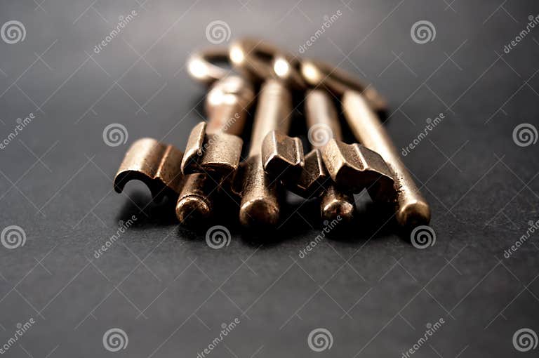 Front View of 4 Ward Keys with Different Curvatures. Stock Photo ...