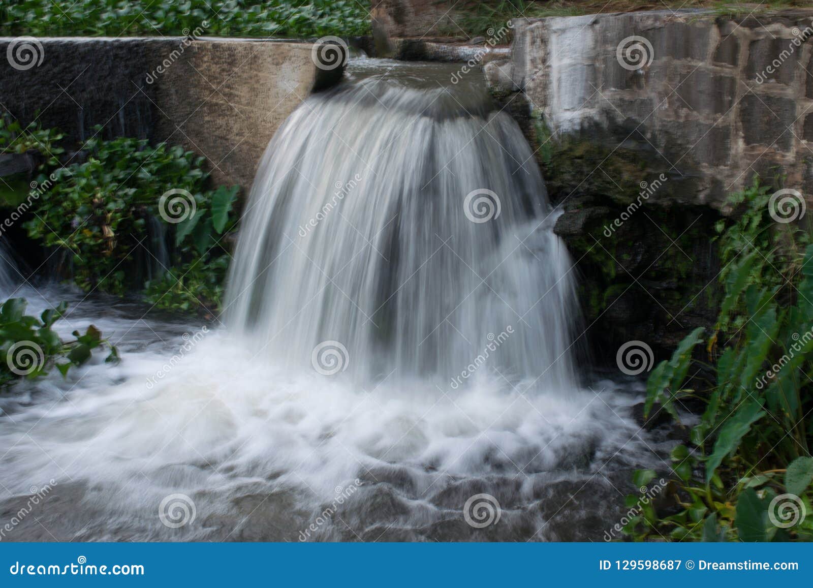 A Front View of a Waterfall Stock Image - Image of wetlands, gondok ...