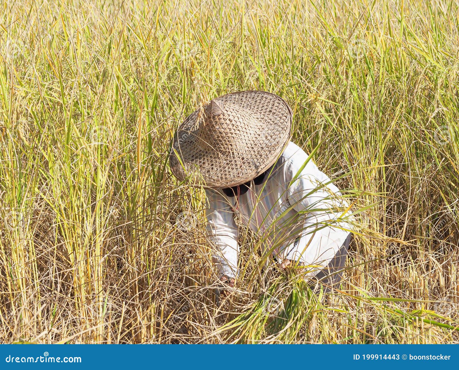 View Of A Sickle With Window In The Background Royalty-Free Stock Photo ...
