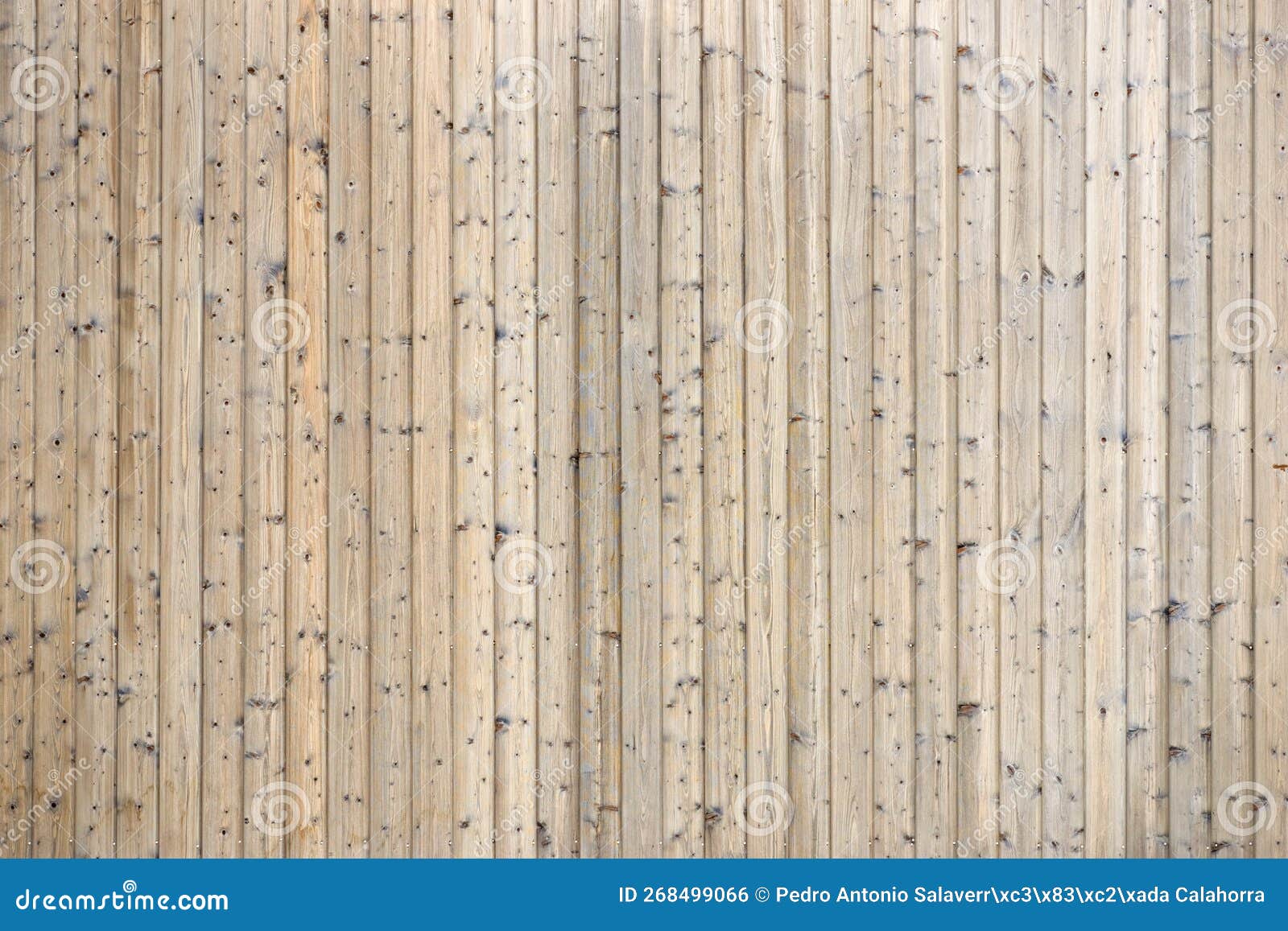 Front view of a wood wall stock photo. Image of pattern - 268499066
