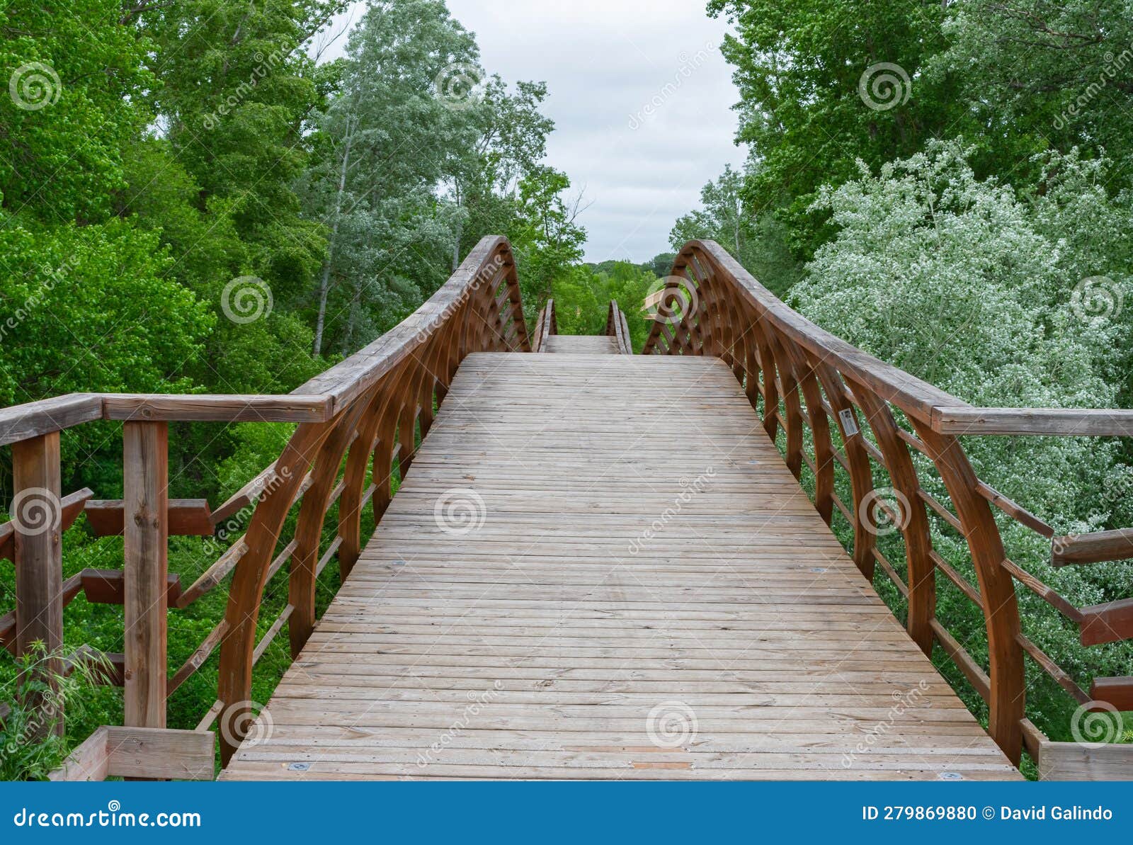Front View of Wooden Bridge for People Stock Photo - Image of nature ...