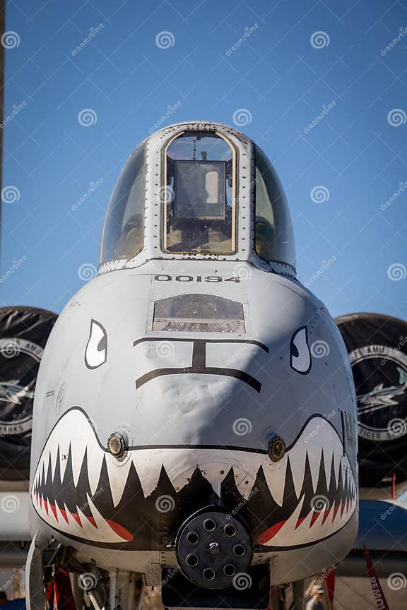 The Front of an a-10 Warthog Editorial Image - Image of face, team ...