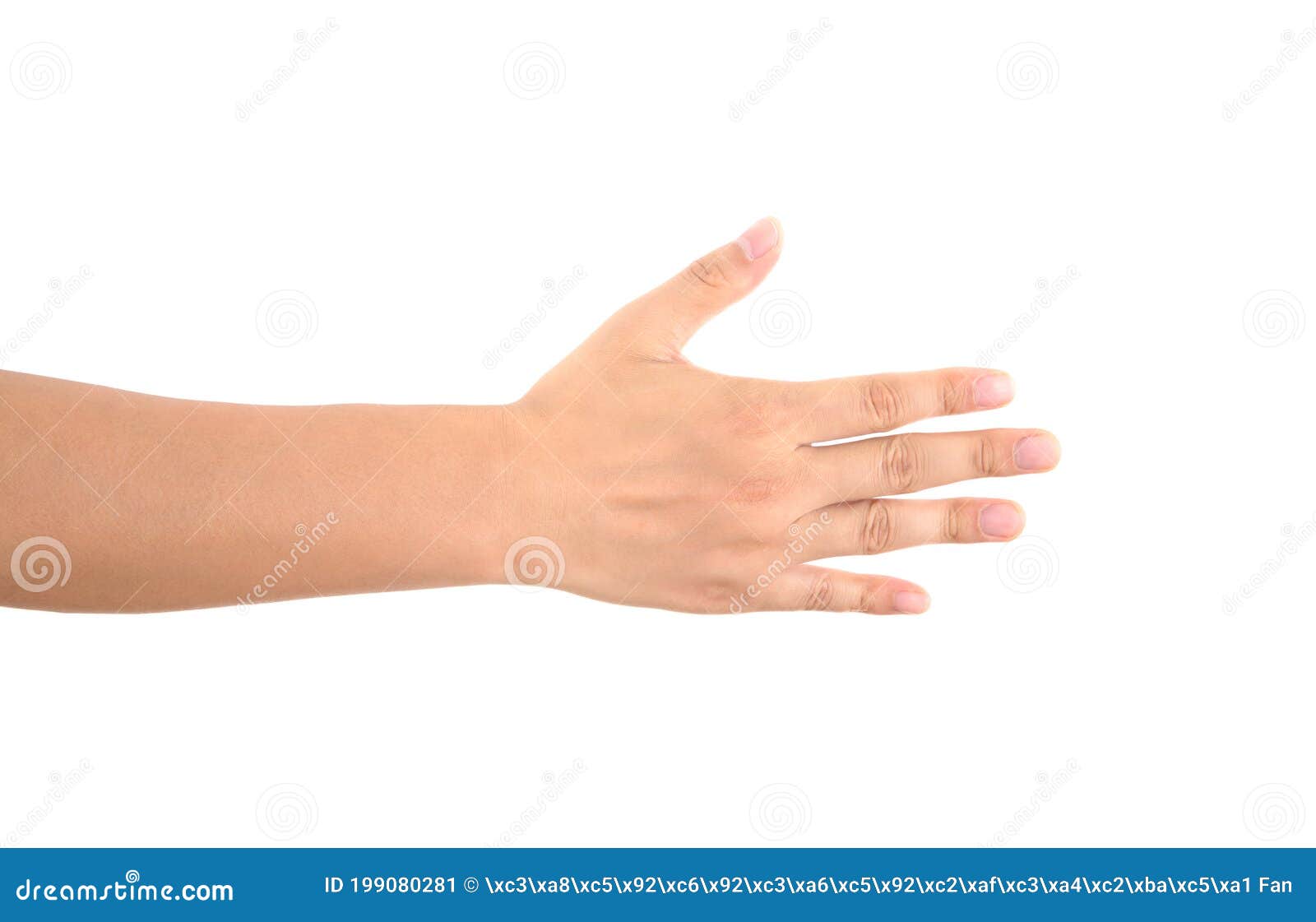 In Front of a White Background, One Hand Stretches Out the Back of the ...
