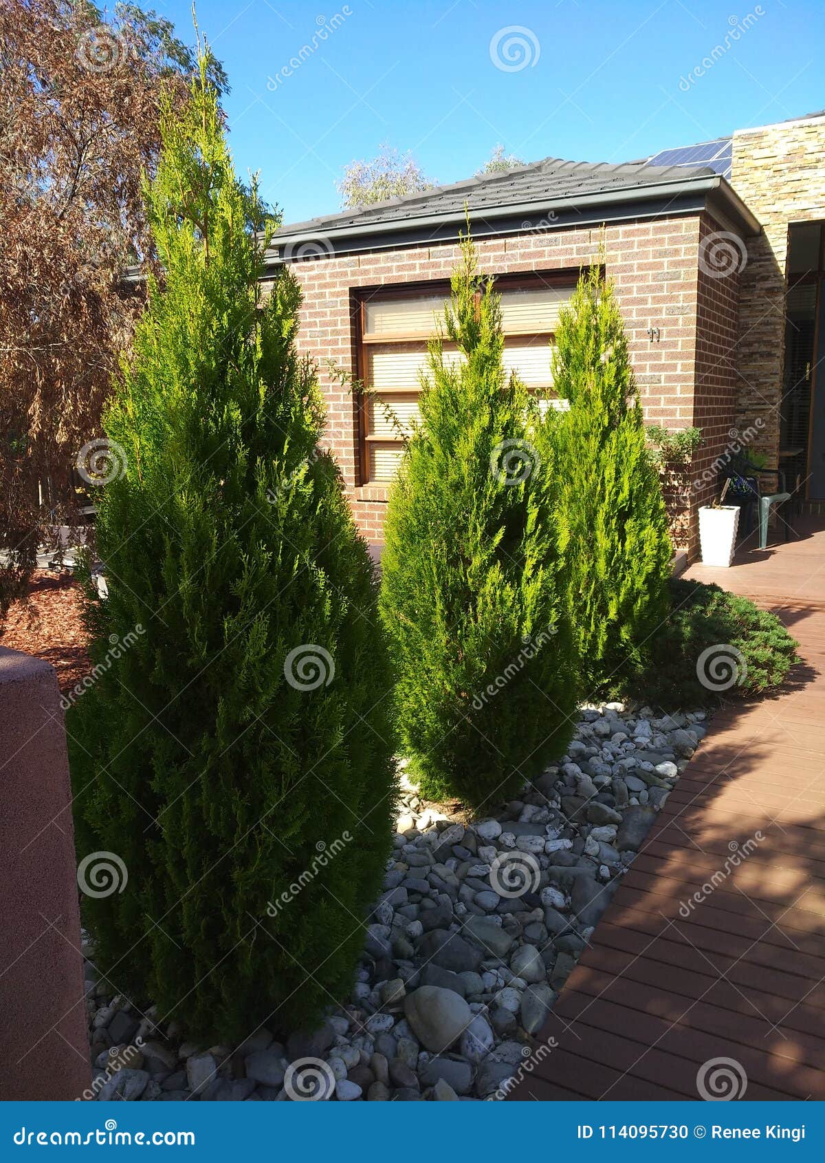 Front yard house red brick stock photo. Image of front - 114095730