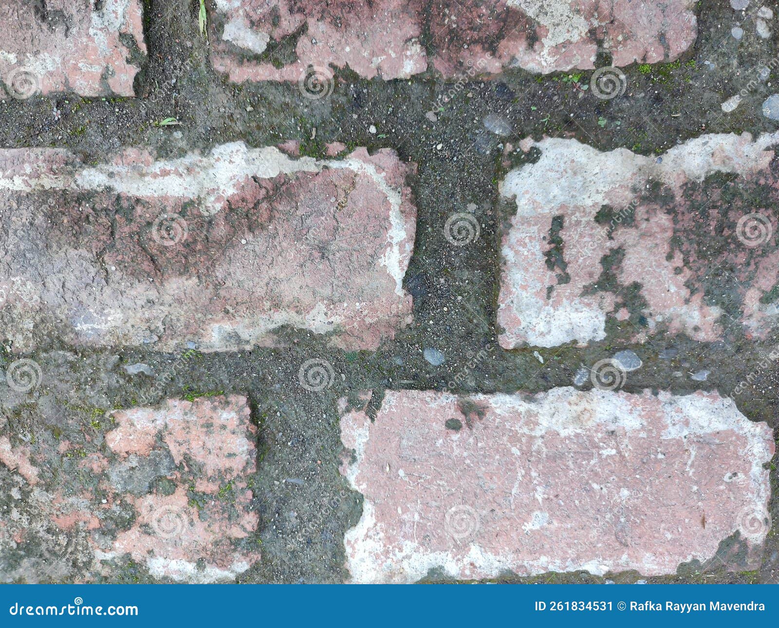 Front Yard of a House in a Village with Bricks on the Ground Stock ...
