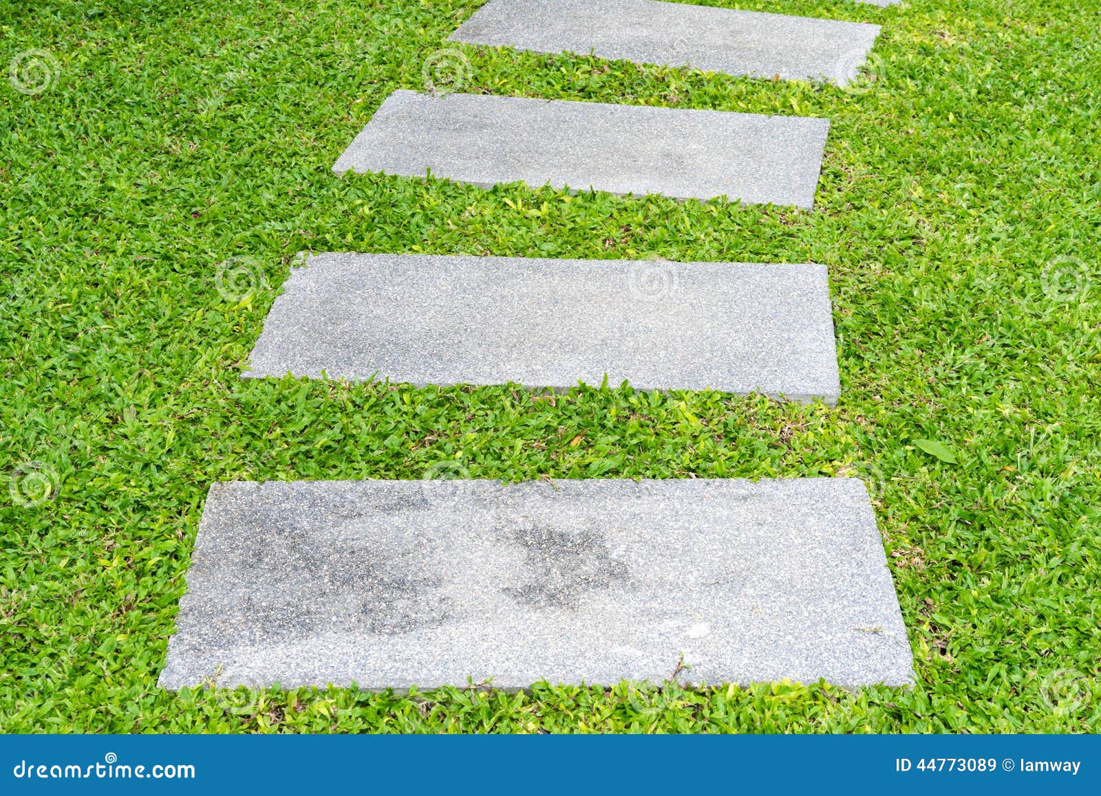 Front Yard Rock Walkway between Grasses Stock Image - Image of abstract ...