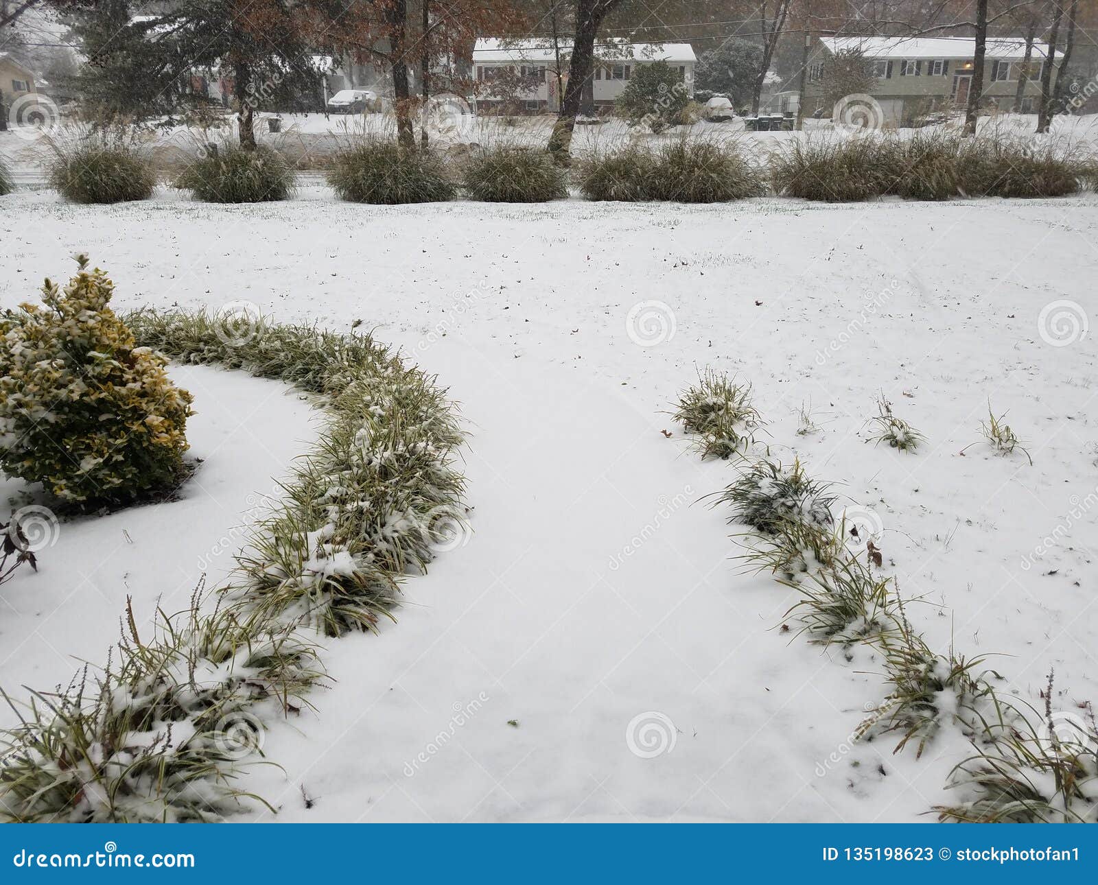 Front Yard with Snow and Grasses in Winter Stock Image - Image of ...