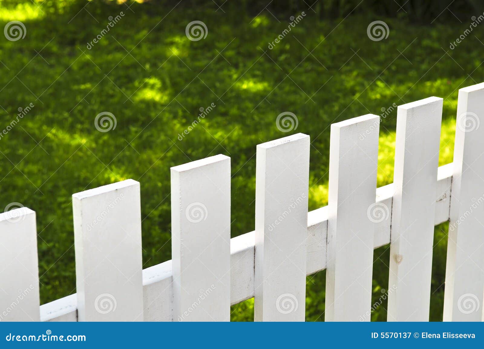 Front Yard with White Fence Stock Image - Image of backyard, boards ...