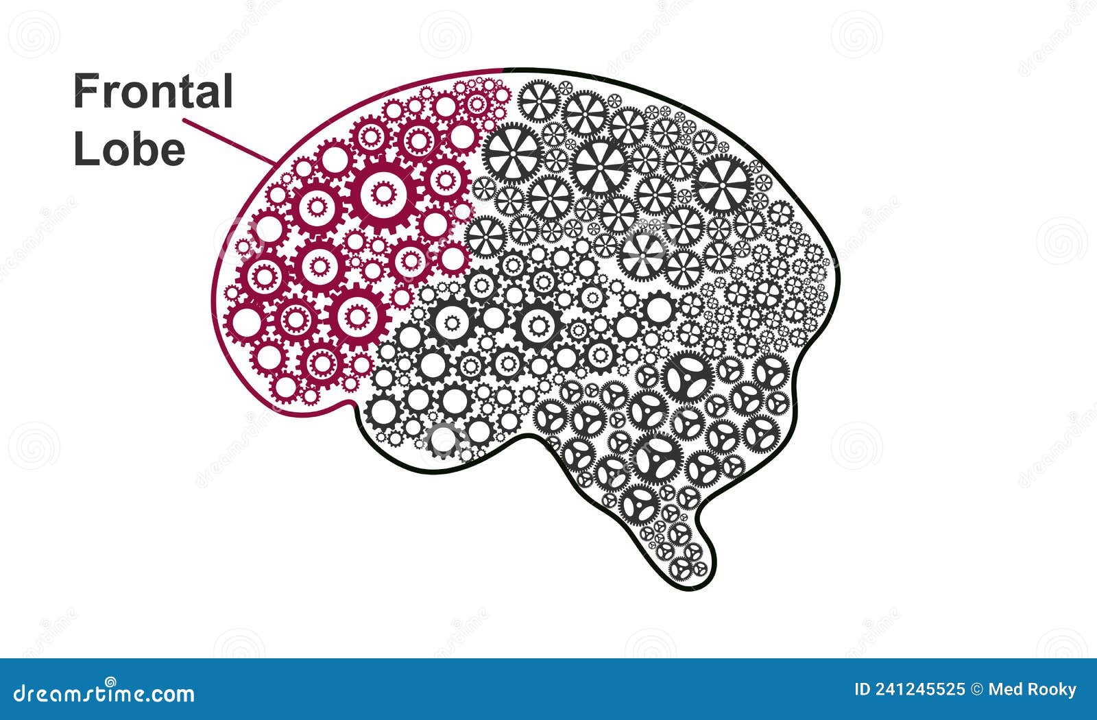 Frontal Lobe of Human Brain Illustration with Gear Icon Stock ...