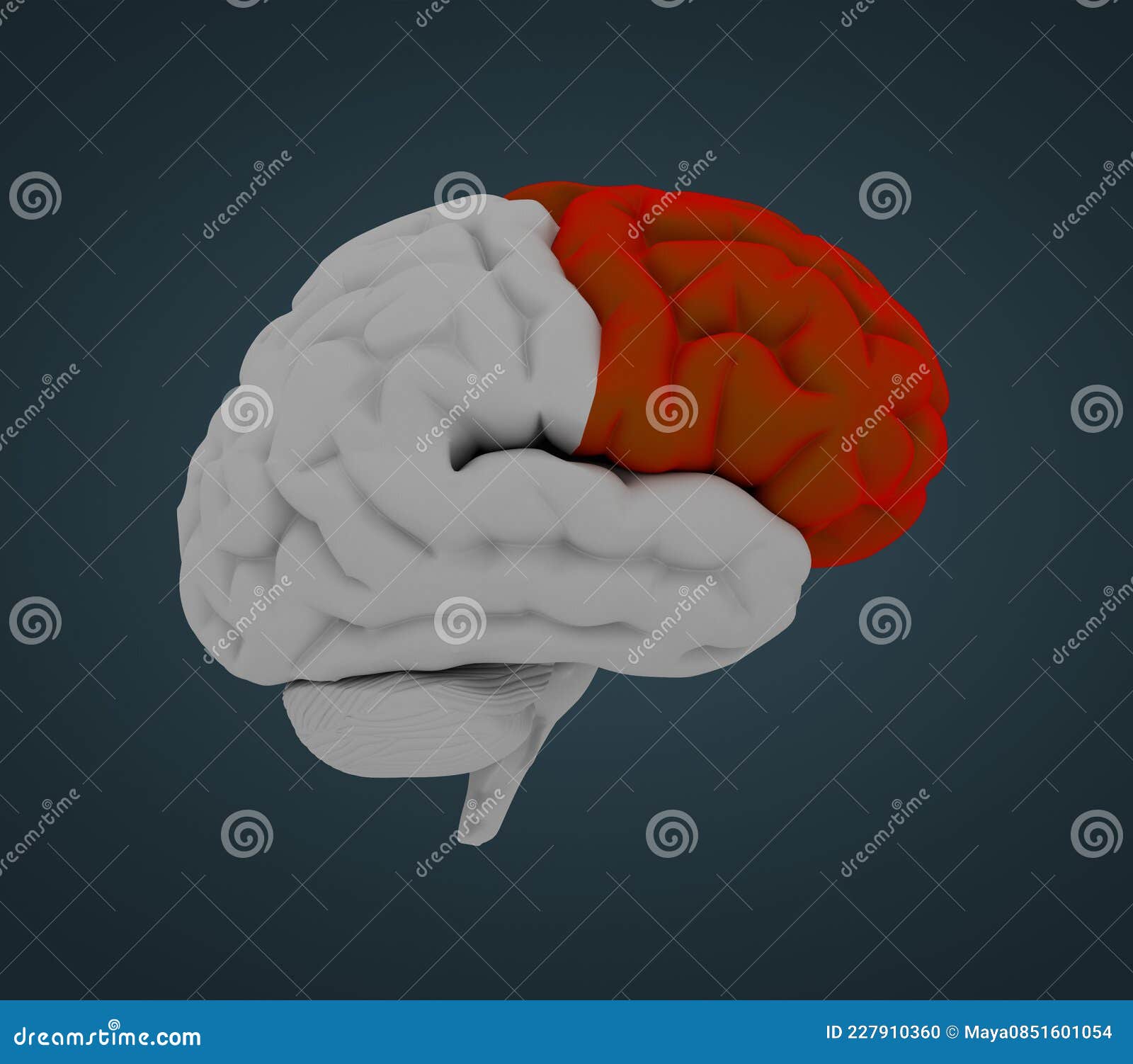 3D Rendering Illustration of Brain Stock Illustration - Illustration of ...