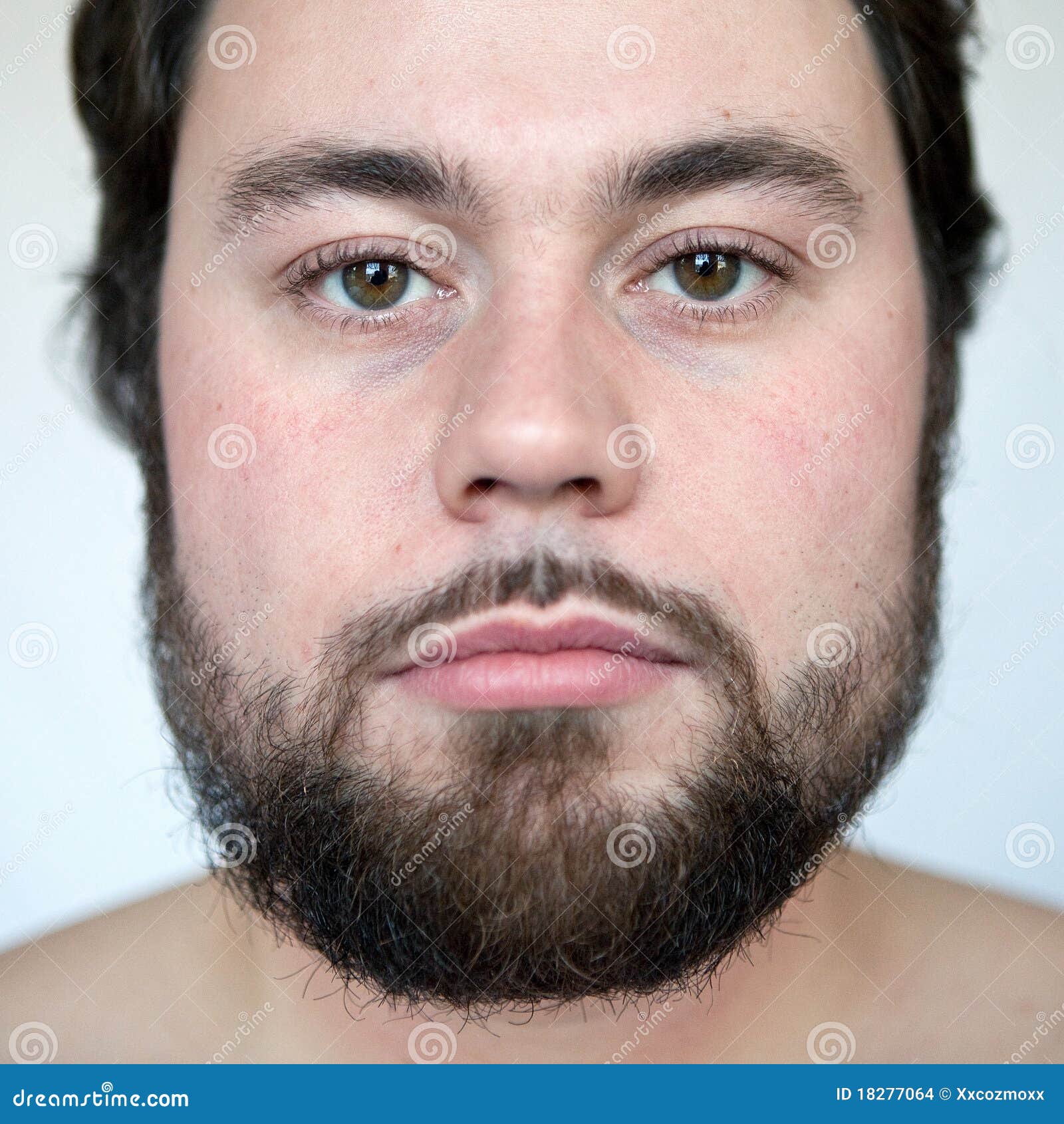 Frontal portrait stock photo. Image of beauty, portrait - 18277064 Frontal portrait stock photo. Image of beauty, portrait - 18277064