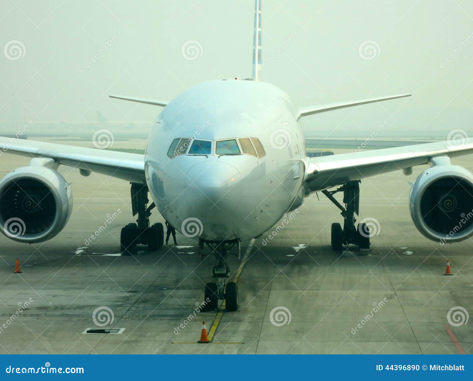 Frontal View of Airplane editorial image. Image of flight - 44396890