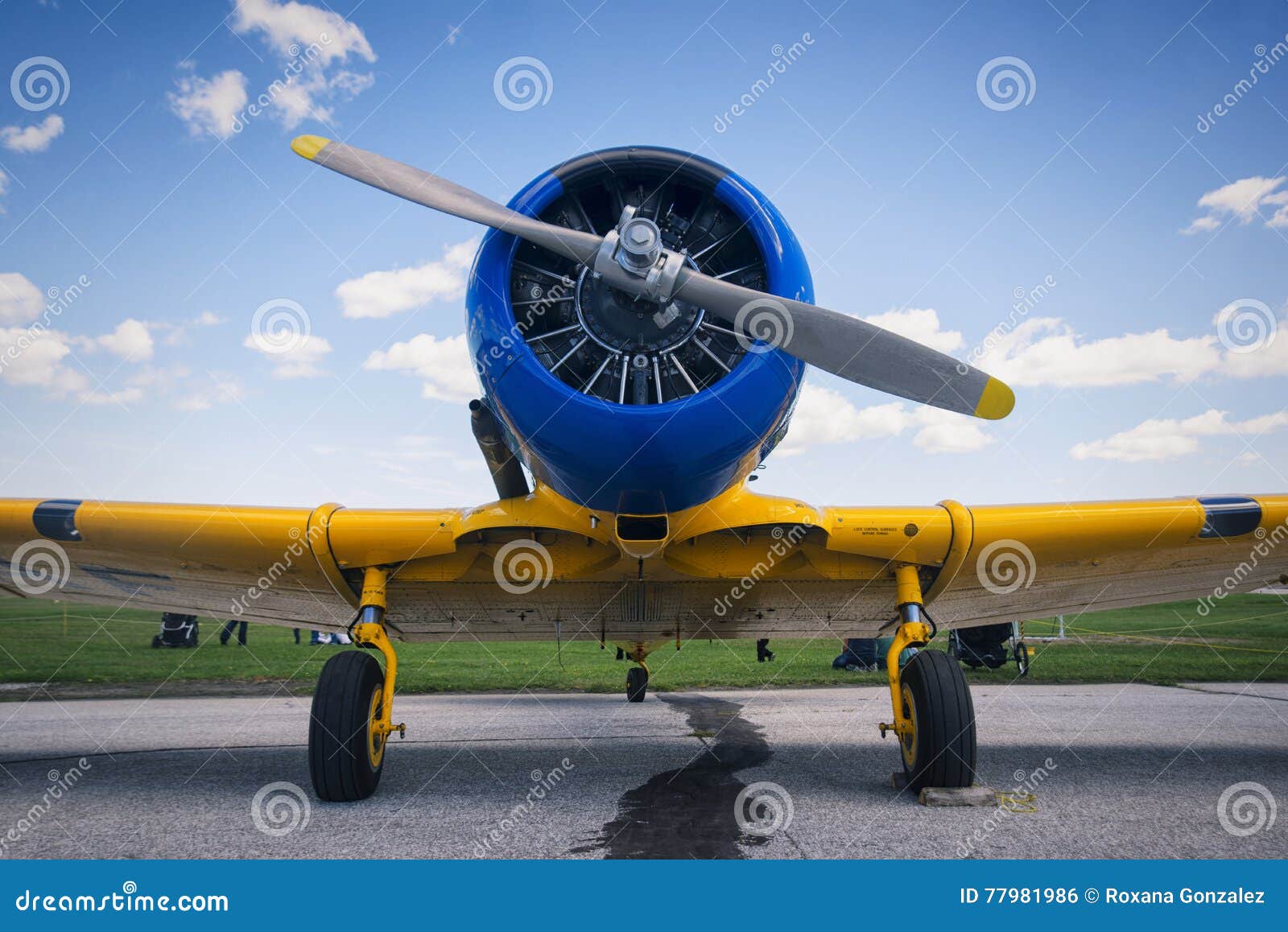 Frontal View of Old Vintage Airplane Stock Photo - Image of obsolete ...