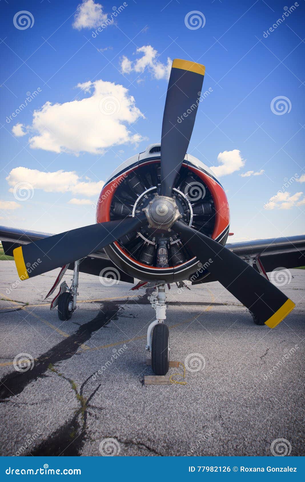Frontal View of Old Vintage Airplane Propeller Stock Photo - Image of ... Frontal View of Old Vintage Airplane Propeller Stock Photo - Image of ...
