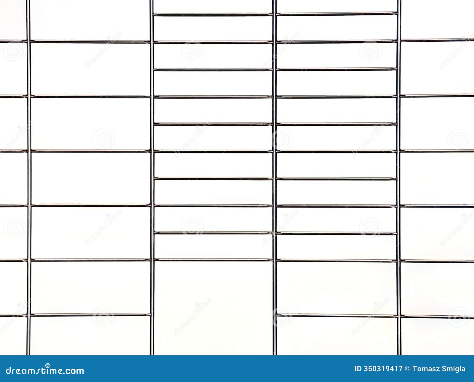 Frontal View Leg Anatomy Stock Photography | CartoonDealer.com #63529220