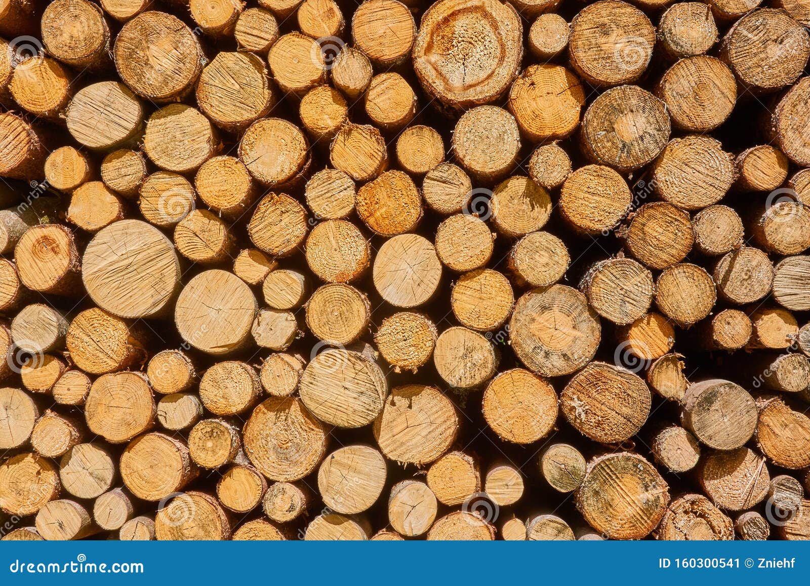 Frontal View of Stacked Cut Logs, As Background, Pattern or Texture ...