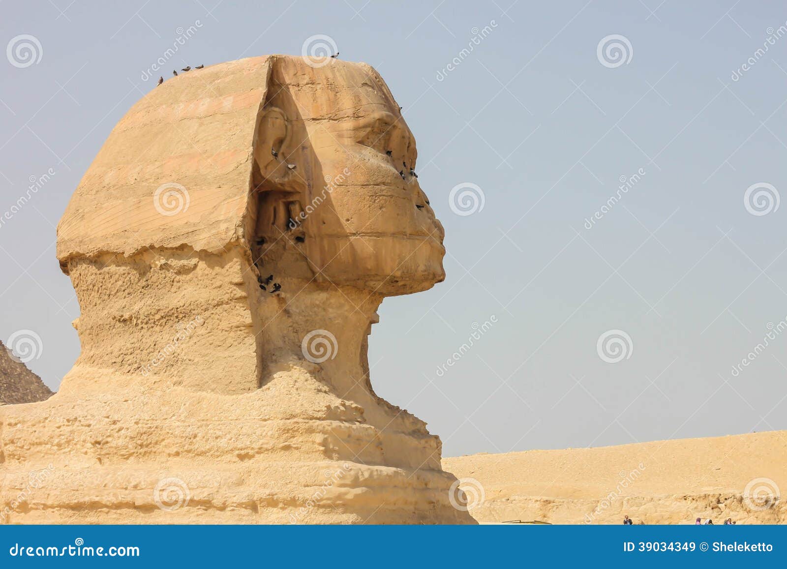 Fronte della sfinge immagine stock. Immagine di naso - 39034349
