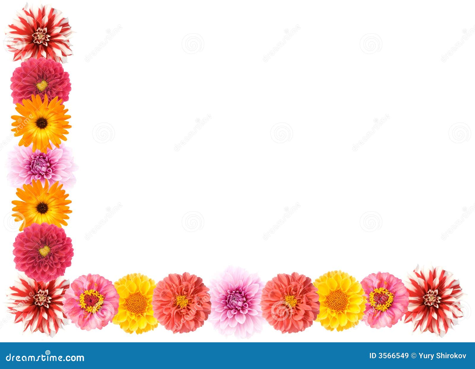 Frontera En ángulo Recto De La Flor Imagen de archivo - Imagen de ...