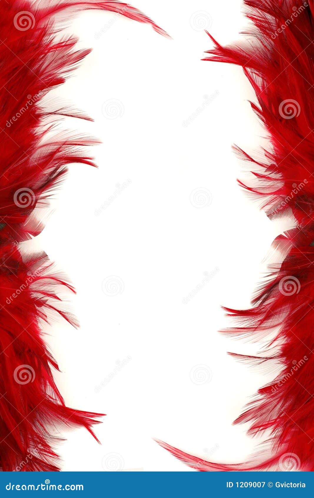 Fronteras de la pluma imagen de archivo. Imagen de suavidad - 1209007