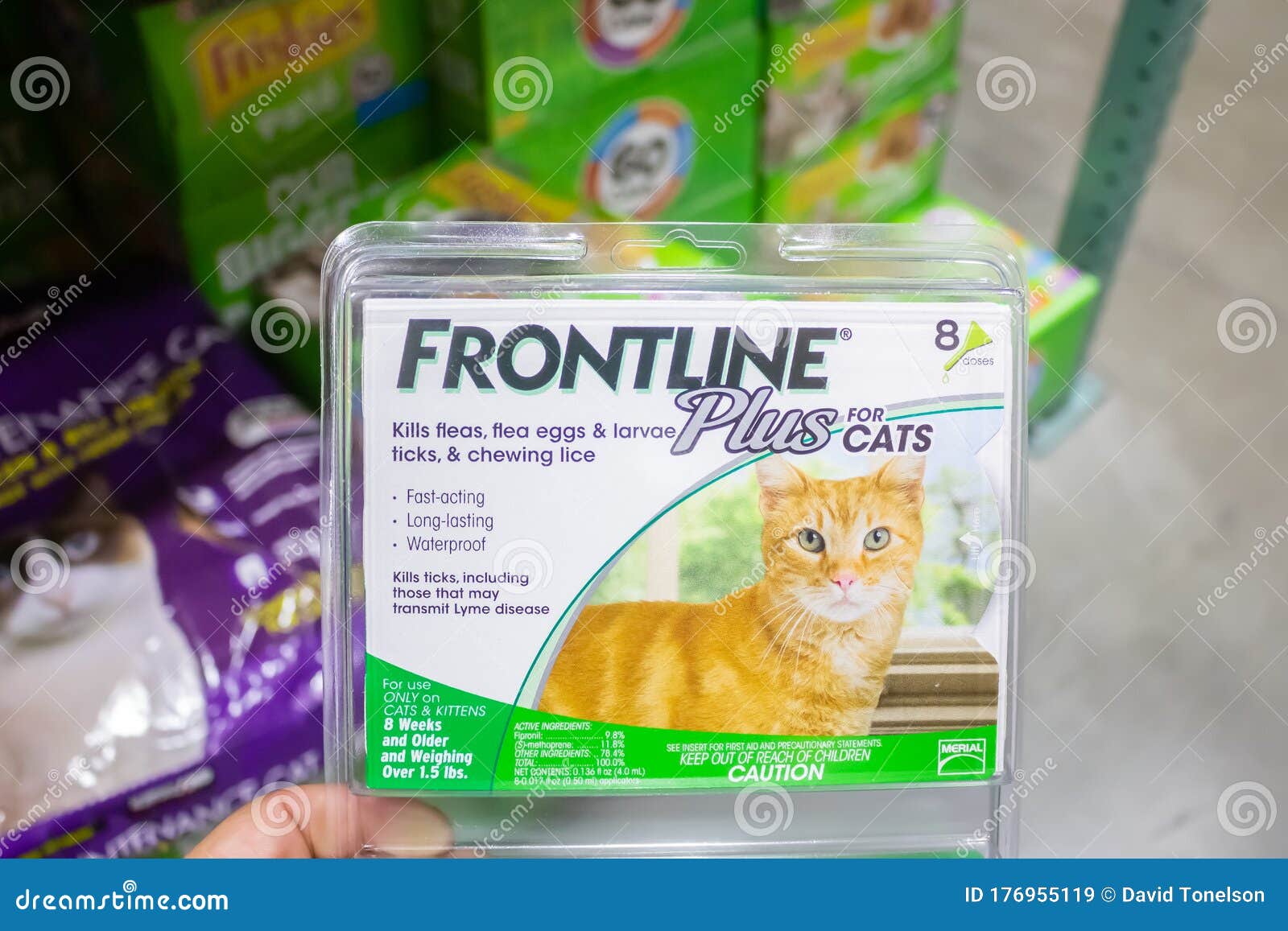 Frontline Plus editorial stock image. Image of nutrition - 176955119