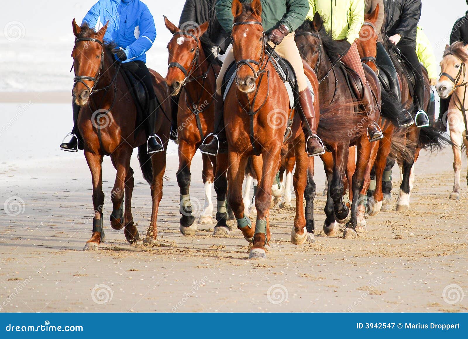 Frontview Group Horseback Riding on the Beach Stock Image - Image of ...