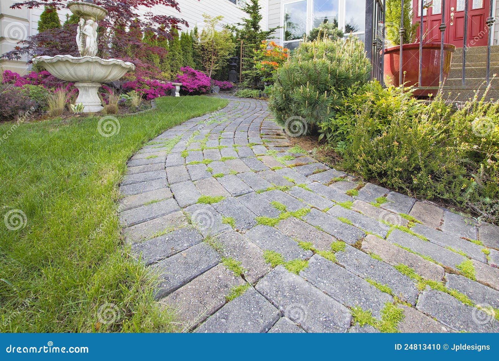 Frontyard Cement Stone Paver Path Stock Photo - Image of maple, grass ...