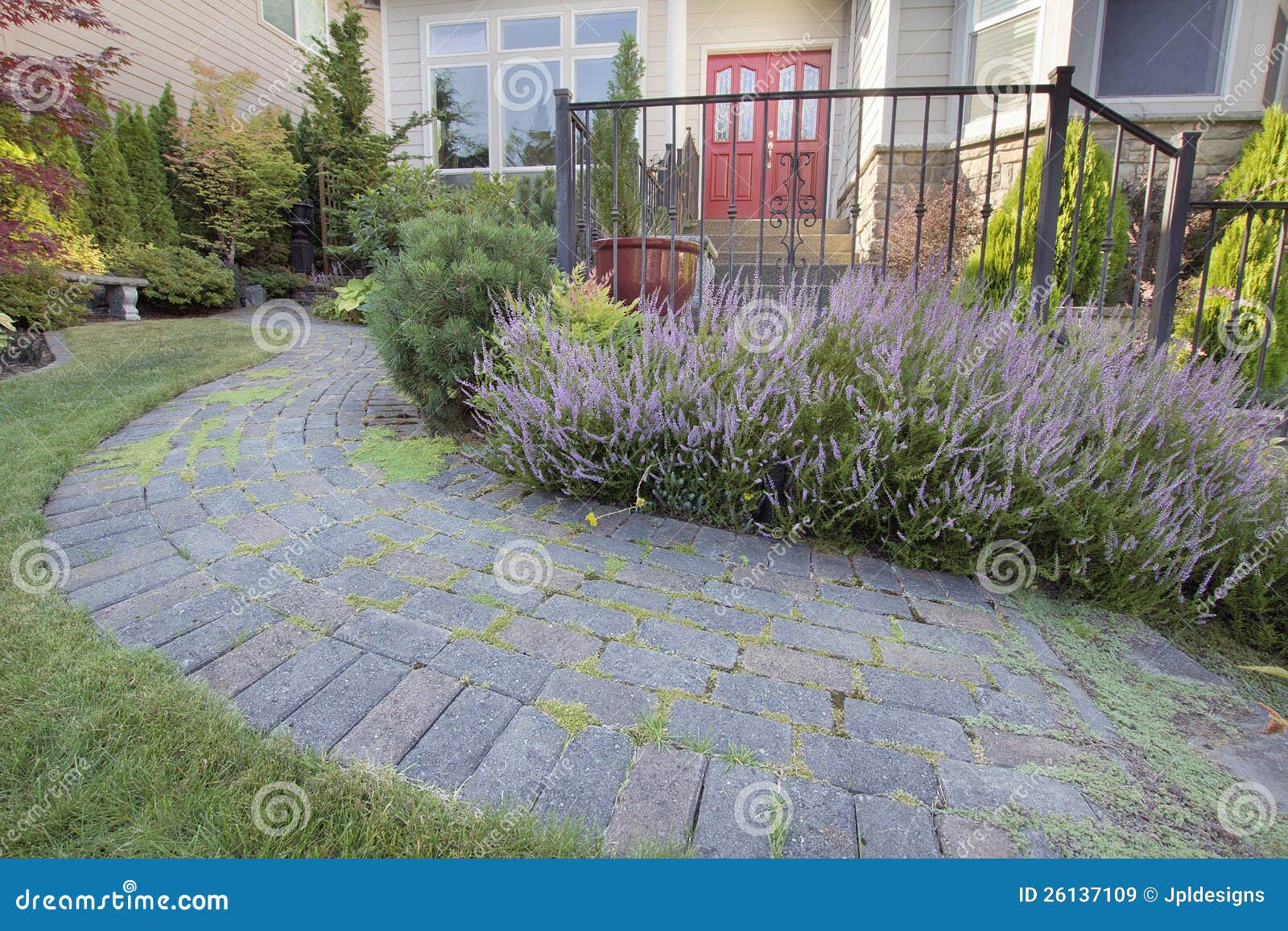 Frontyard Garden Paver Walkway with Heather Flower Stock Image - Image ...
