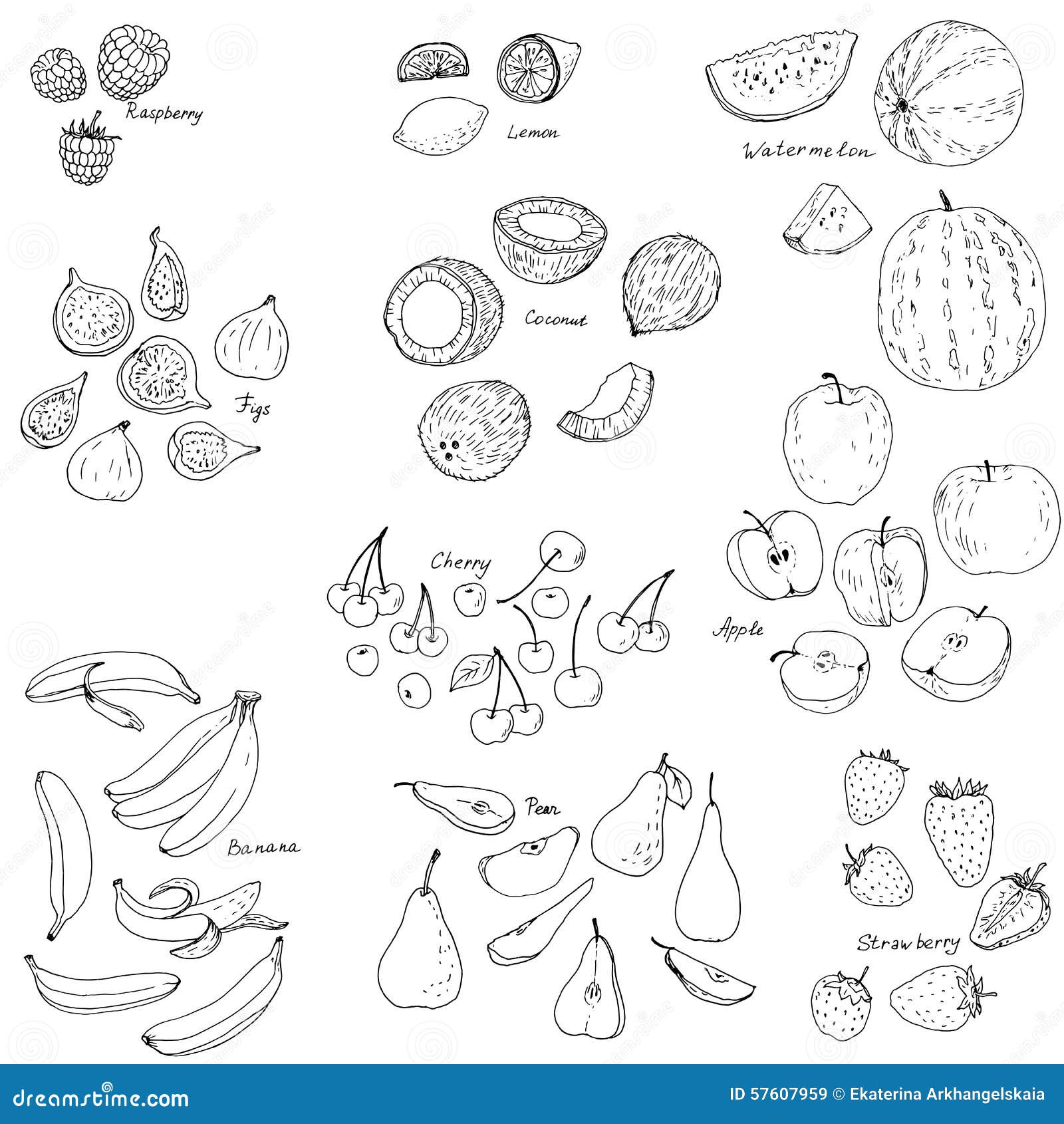 Froots and Berries Vector Set Stock Vector - Illustration of food ...