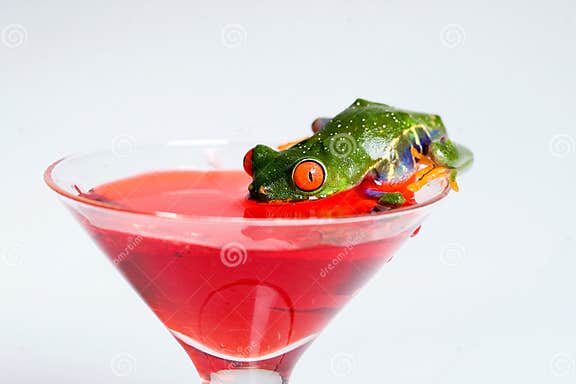 Frosch-Cocktail stockfoto. Bild von cocktail, blutunterlaufen - 18792676