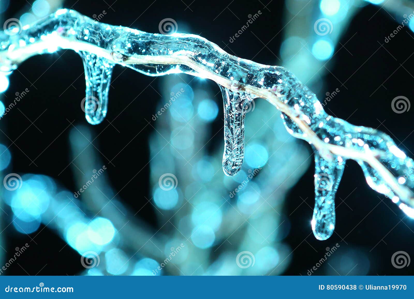Frosen Icicles on Tree Branches Night Sceen Stock Photo - Image of ...
