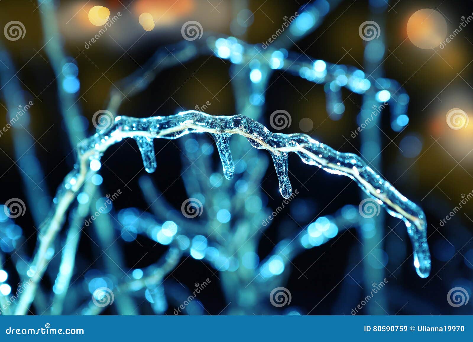 Frosen Icicles on Tree Branches Night Sceen Stock Image - Image of ...