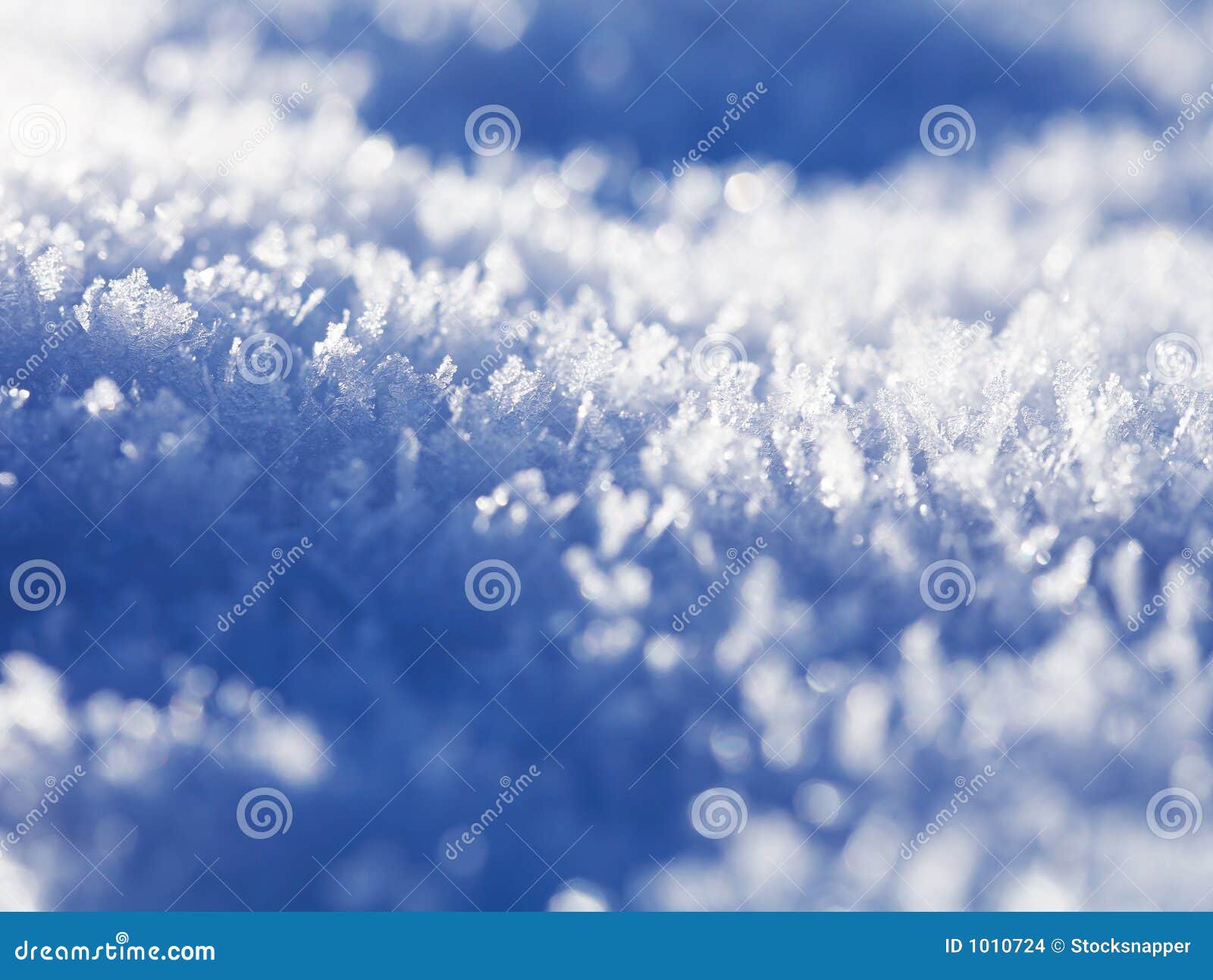 Frost stock photo. Image of frosty, macro, blue, winter - 1010724