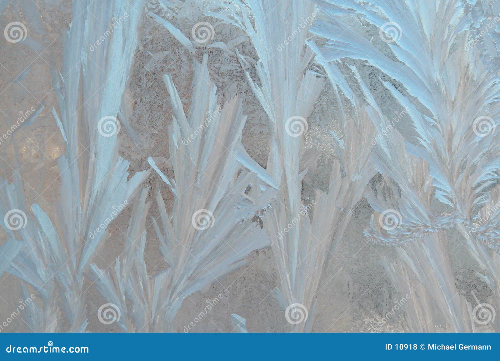 Frost stock photo. Image of cool, design, weather, winter - 10918